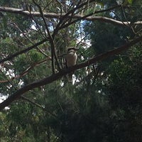Ku-ring-gai Bicentennial Park Walk - Ku-ring-gai - Corner of Lofberg and Yanko Roads