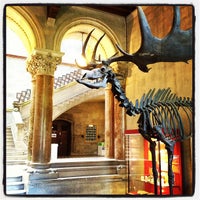 Museum Building - Trinity College Dublin - 0 tips