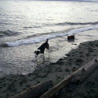 Edmonds Off-Leash Dog Park - Dog Run