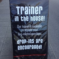 Downtown Dog Lounge (Now Closed) - Interbay - 5 tips from 226 visitors
