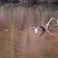 Lee Fields - 3 tips from 81 visitors