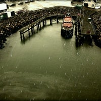 Rosslare Europort - Rosslare Harbour