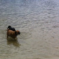 Juno Beach Dog Park - Dog Park in The Bluffs