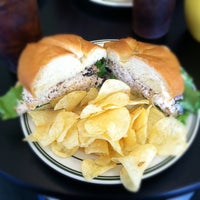 Three Earred Rabbit - 2 tips from 88 visitors