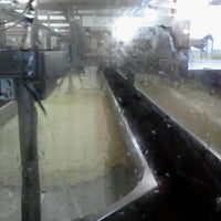 Kalona Cheese House - Cheese Shop in Kalona