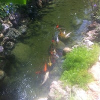 Warm Mineral Springs - Hot Spring in North Port