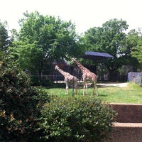 Jackson Zoological Park - Zoo in Jackson