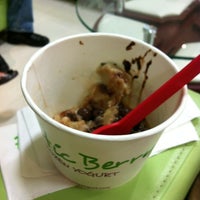 Exotic Berry Frozen Yogurt - Frozen Yogurt Shop