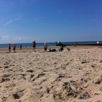 Strand Zoutelande - Beach in Zoutelande