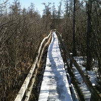 Volo Bog State Natural Area - Nature Preserve in Ingleside