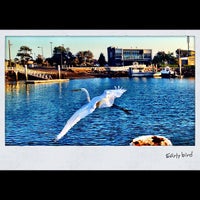 William Gunn Jetty - Pier in Manly