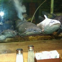 Fin Inn - 1 tip from 175 visitors