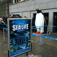 Sea Life London Aquarium - Waterloo - 128 tips
