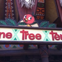 Sunshine Tree Terrace - Walt Disney World Resort - Lake Buena Vista, FL