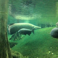 CosmoCaixa - Science Museum in Barcelona