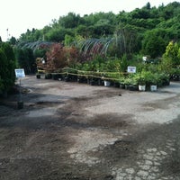 Wayside Garden Center - 5 tips