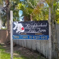 Neighborhood Fish Farm - 8 tips from 161 visitors
