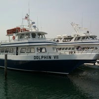 Dolphin Fleet Whale Watch - 21 tips from 1440 visitors