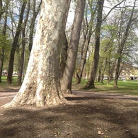 Stadtpark Spittal - 3 tips from 199 visitors