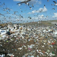 Manatee County Landfill - 2 tips from 50 visitors