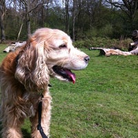 Monken Hadley Common