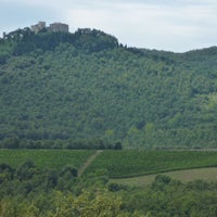 Castello di Montegiove - Winery