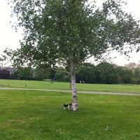 Peckham Rye Common - 24 tips