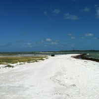 Anclote Key Preserve State Park - State / Provincial Park in Tarpon Springs