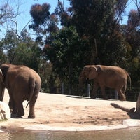 Elephant Odyssey - Balboa Park - San Diego, CA