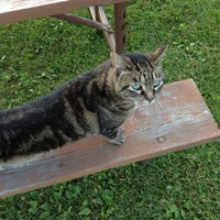 Burlington Bay Campground - Highway 61 and Park Road