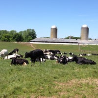 Tanner Brothers Dairy - 42 tips from 846 visitors