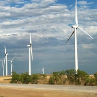 Wind Farms - Field
