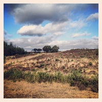 Old Dean Common - Camberley, Surrey