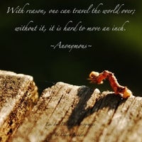 Grogan Park - Playground in Gate City