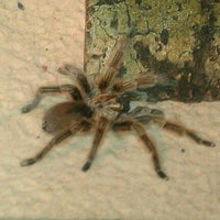 IMAX Theater - Movie Theater in Inner Harbor