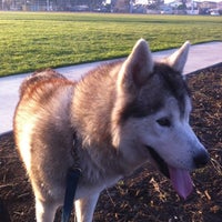 Ted Watkins Memorial Park - Basketball Court in Los Angeles