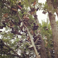 Shoe Tree On 131 - Kalkaska, MI