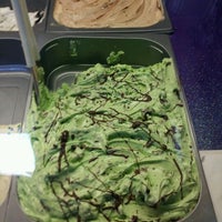 Java Cat - Madison, WI