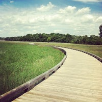 Cuba Marsh Forest Preserve - Nature Preserve
