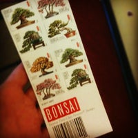 Queen Anne Dispatch - East Queen Anne - Seattle, WA