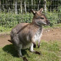 Yorkshire Wildlife Park - Zoo in Doncaster