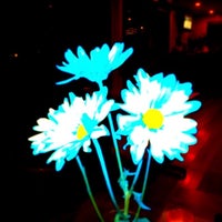 Blue Fire Grill - BBQ Joint