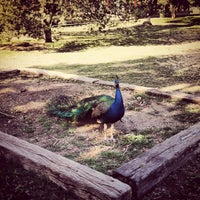 Spring River Zoo - 1306 E College Blvd