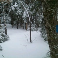 Dobson Trail - Hiking Trail