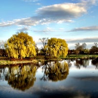 Frame Park - 14 tips