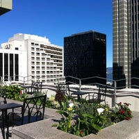 343 Sansome Roof Garden - Garden in San Francisco