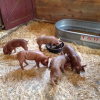 Muscoot Farm - 19 tips from 915 visitors