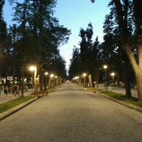 Parcul Central - Park in Cluj-Napoca
