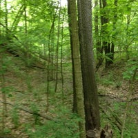 Salt Run Trail (Cuyahoga Valley National Park) - 4999 Quick Rd