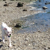 Edmonds Off-Leash Dog Park - Dog Run
